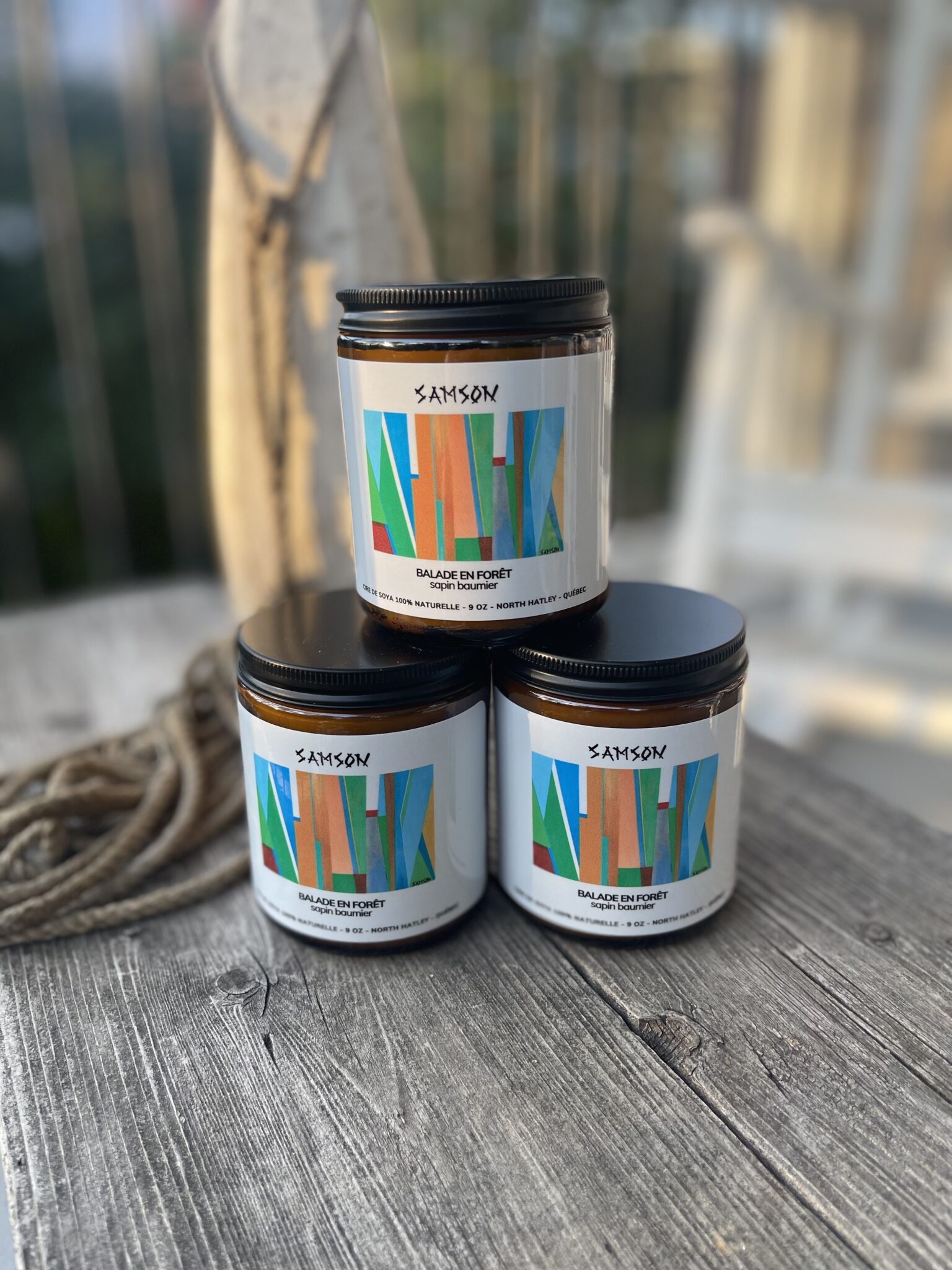 Marc Samson Artist | Capturing Emotions through Stunning Artwork